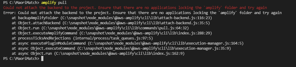 Bug After initial pull - error Could not attach the backend to the project. Ensure that there ...