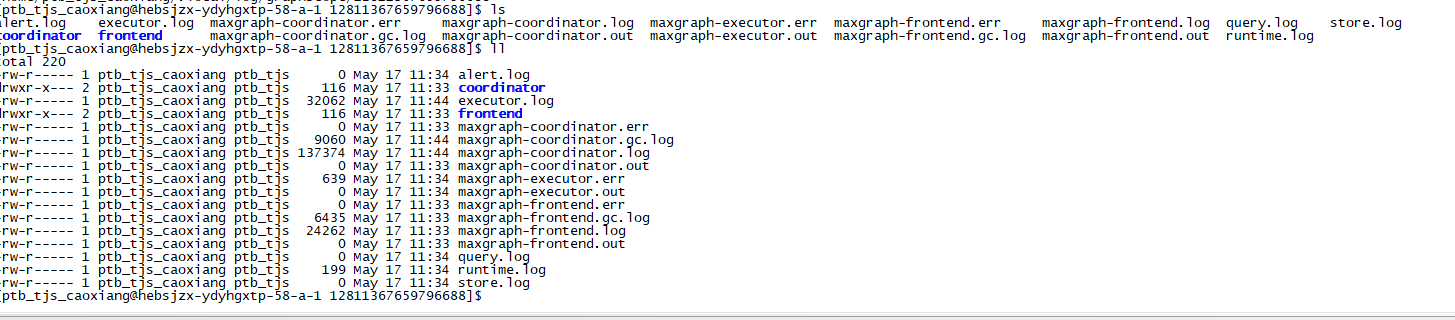 graphscope.framework.errors.InteractiveEngineInternalError: Create interactive instance failed ...