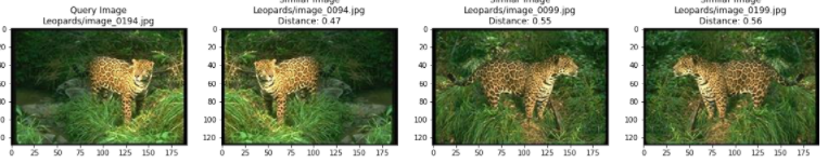 GitHub - Daivar/Caltech101