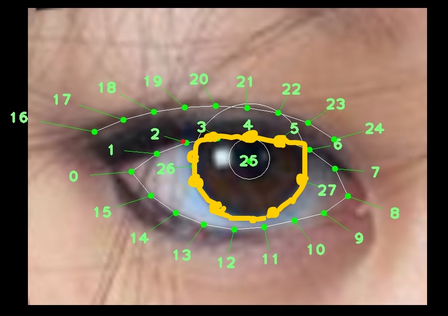 Eye Landmark Registration · Issue #7 · TadasBaltrusaitis/OpenFace · GitHub