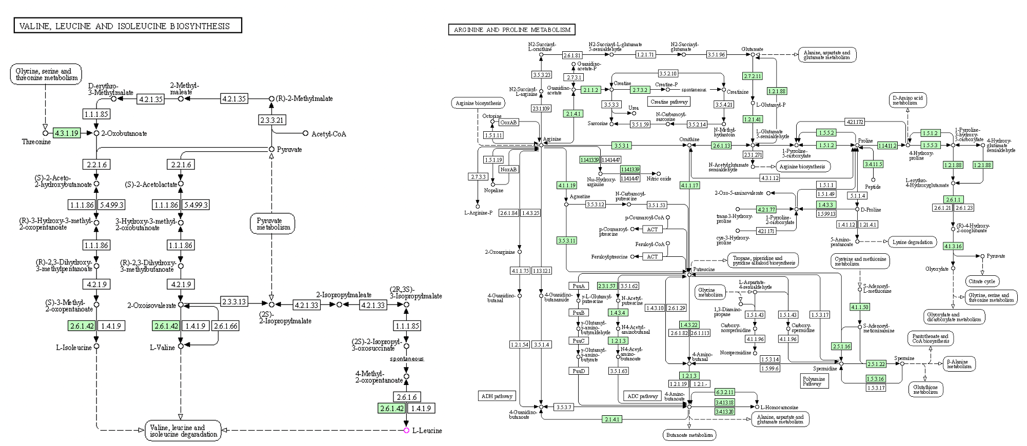 GitHub - btbbtzhang/MetabolomicsData_analysis