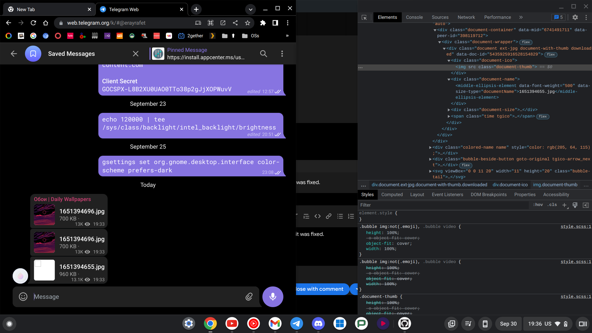 [BUG] Image file previews broken when forwarded to Saved Messages · Issue #126 · morethanwords ...