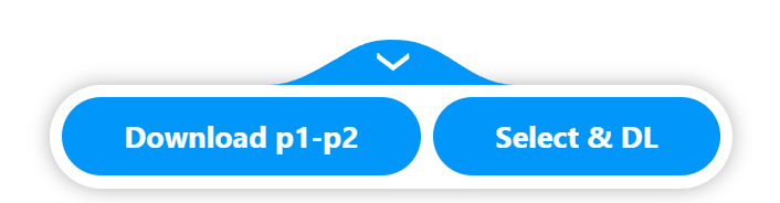 Pixiv Omina Button Is Missing · Issue #174 · leoding86/webextension-pixiv-toolkit · GitHub