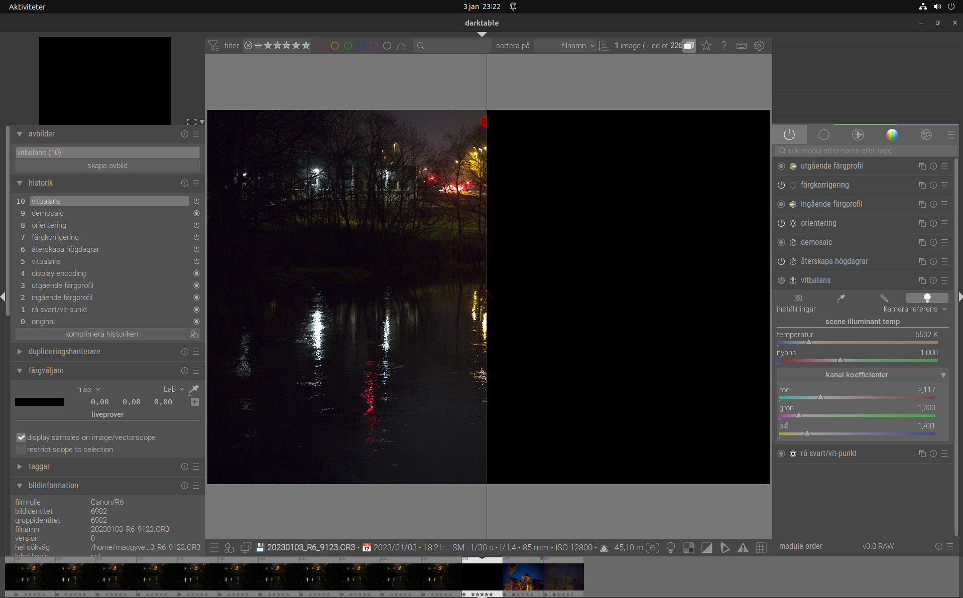 Turning off white balance gives black image when demosaicing is RCD ...