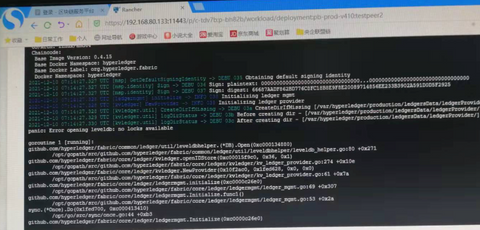 leveldb panic · Issue #3112 · hyperledger/fabric · GitHub