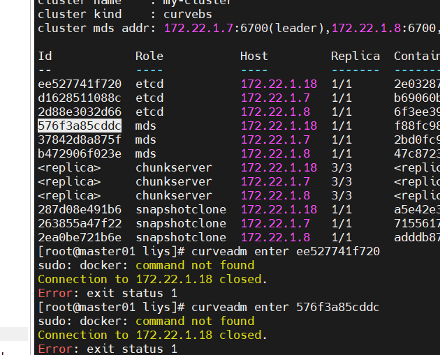 root user without sudo failed ro tun some command · Issue #115 · opencurve/curveadm · GitHub