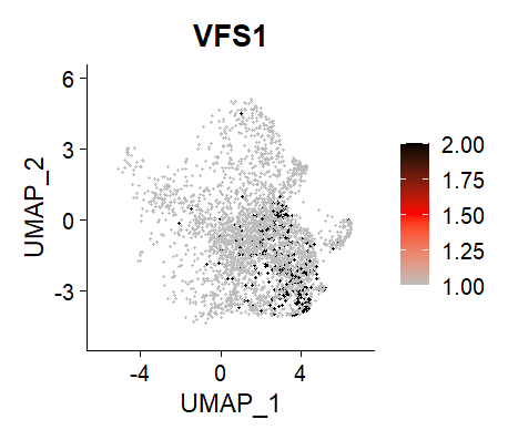 Featureplot after mapping query to reference · Issue #7867 · satijalab/seurat · GitHub