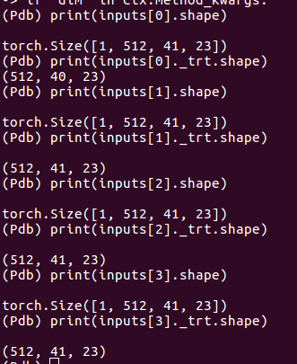 [TensorRT] ERROR: [Concatenation]: all concat input tensors must have ...