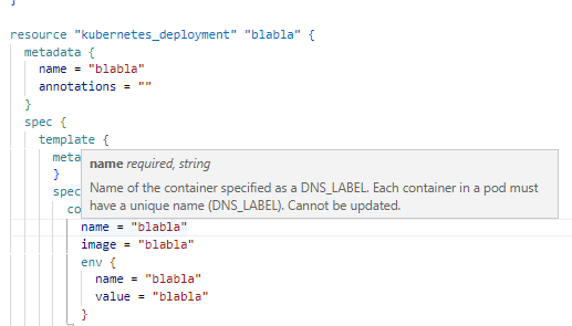 Support for parameter description in resource schema · Issue #21675 · hashicorp/terraform ...