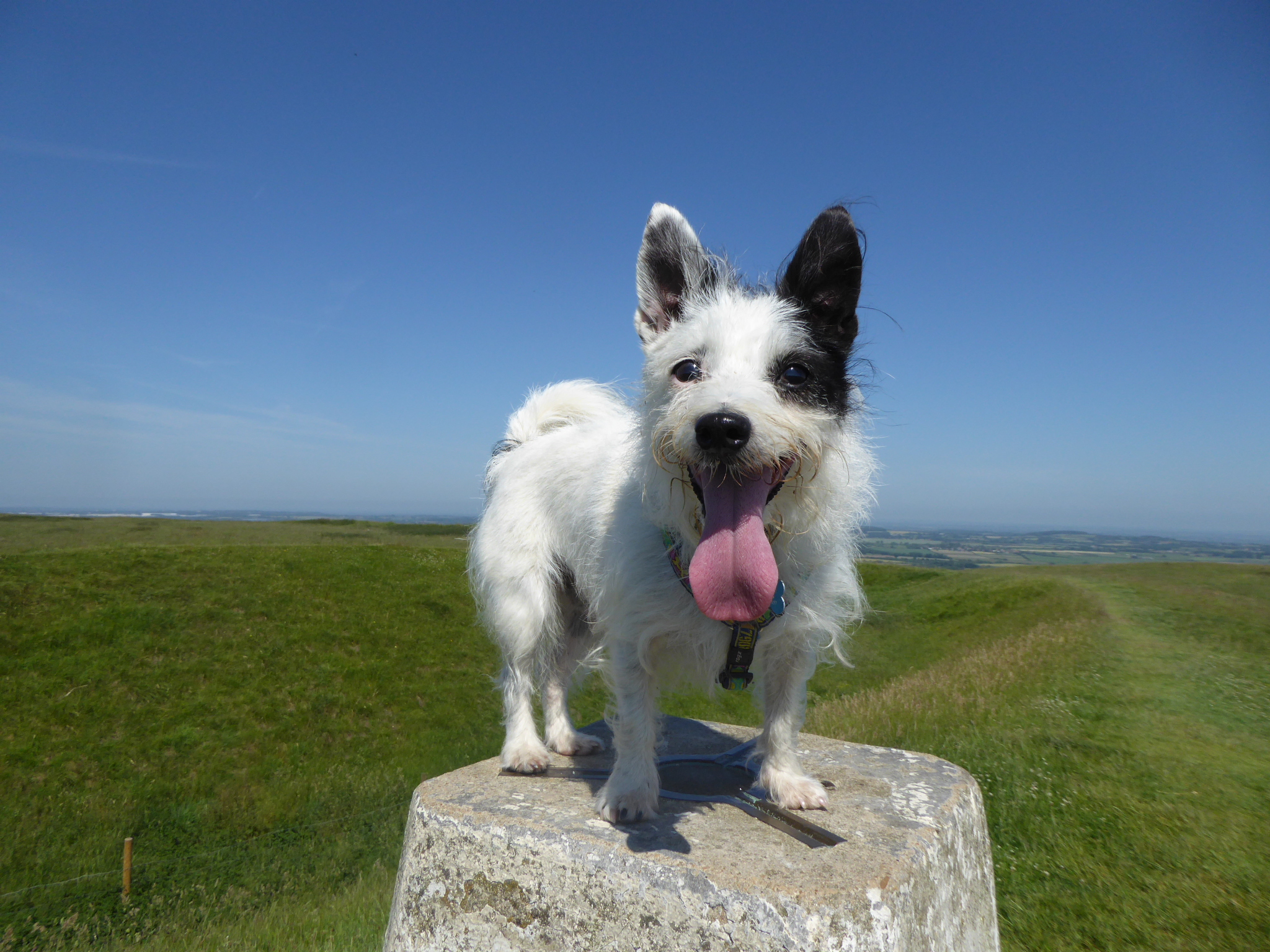 Content needed! · Issue #105 · InFact-coop/BlueCross · GitHub