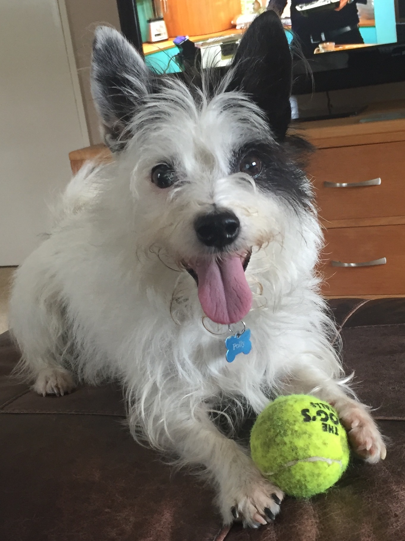 Content needed! · Issue #105 · InFact-coop/BlueCross · GitHub