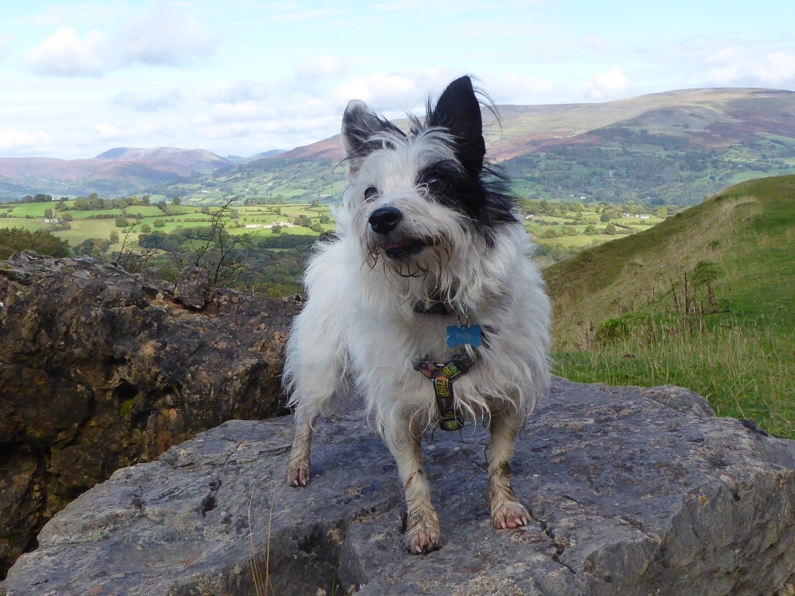 Content needed! · Issue #105 · InFact-coop/BlueCross · GitHub