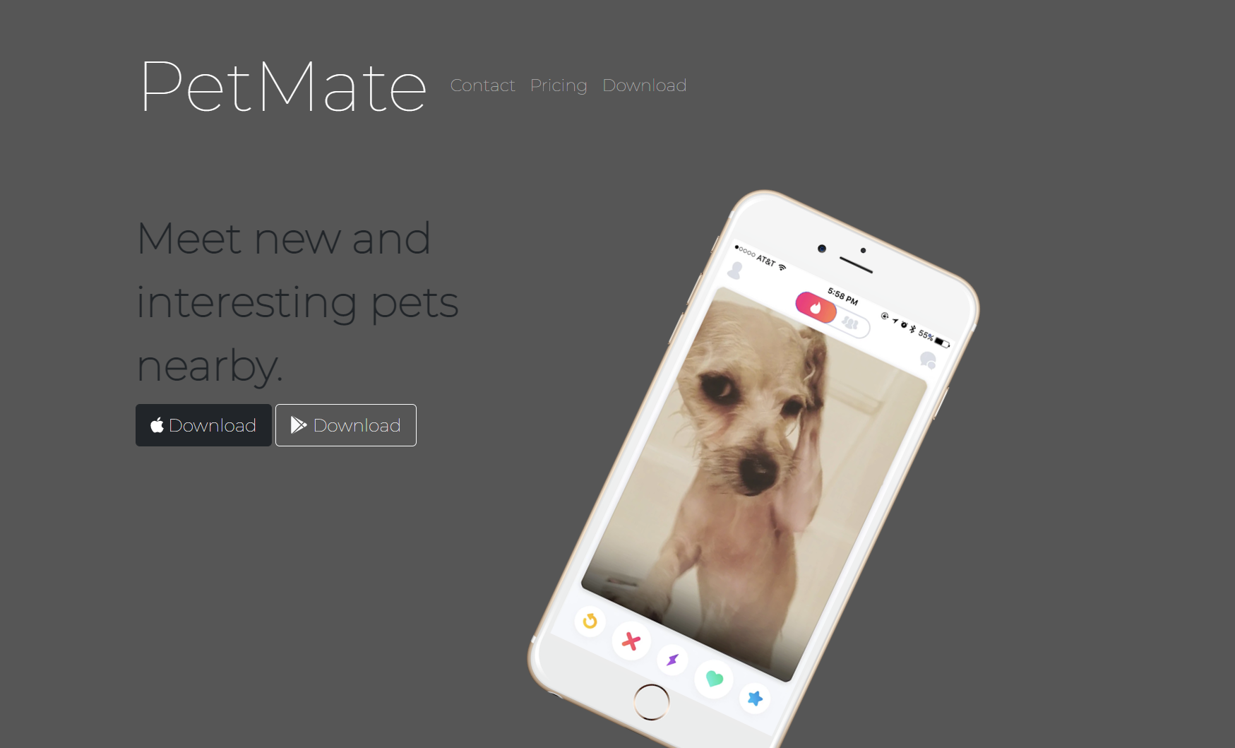 Github Asciiterminal Petmate Dating App Bootstrap5 A Simple Html