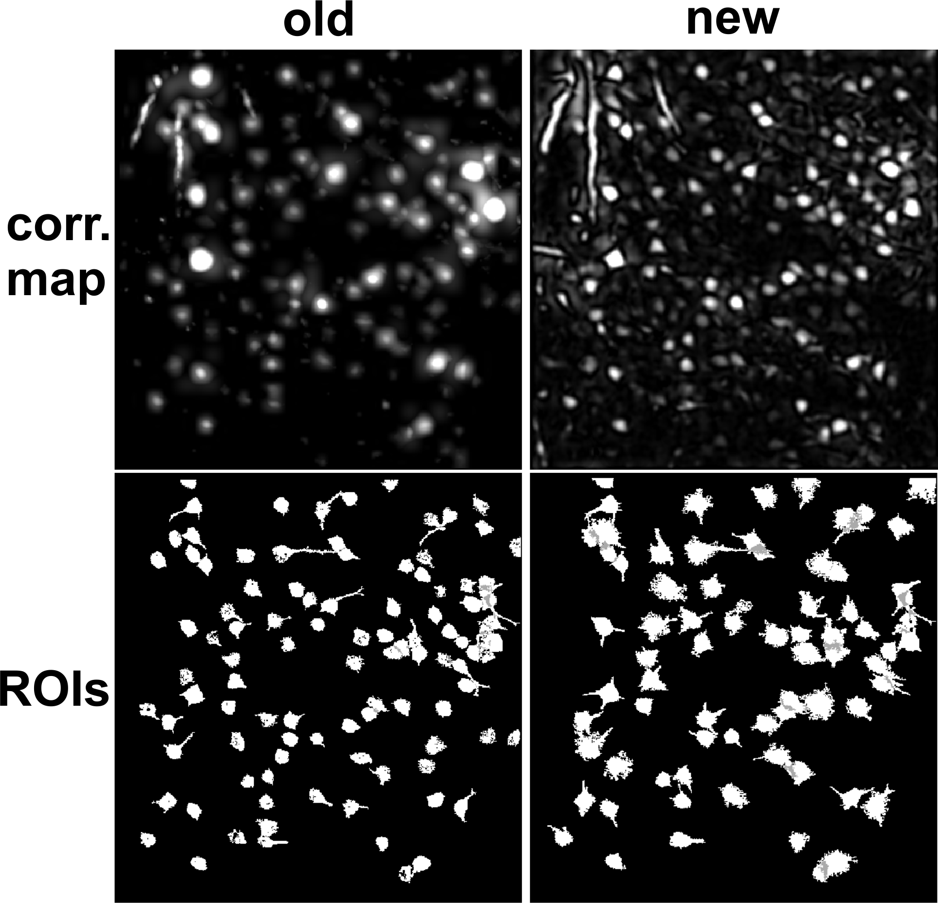 ROI detection issues in v0.6.3 · Issue #193 · MouseLand/suite2p · GitHub