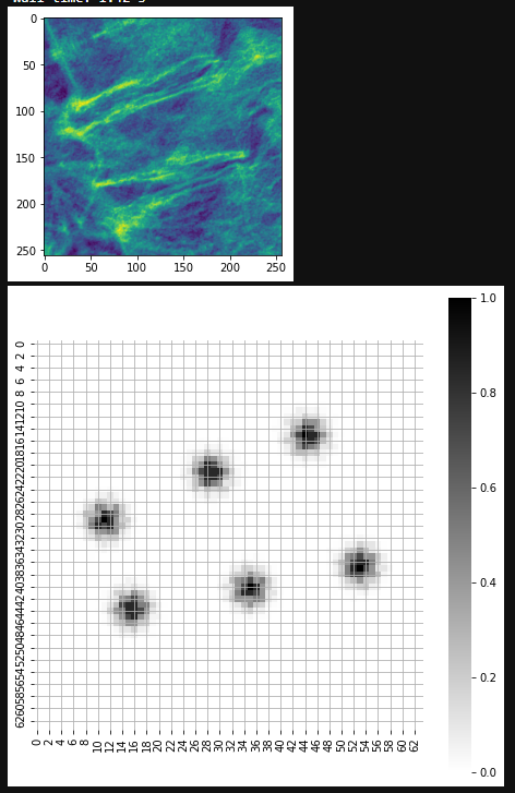 Rotation distorts the segmentation probability map · Issue #1344 ...