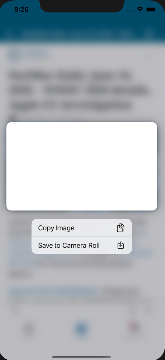 NSInvalidArgumentException: -[_UIConcretePasteboard setImage:]: Argument is not an object of ...