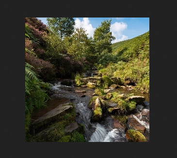 [FF] Wrong styles applied upon "view image" action · Issue #1194 · openstyles/stylus · GitHub