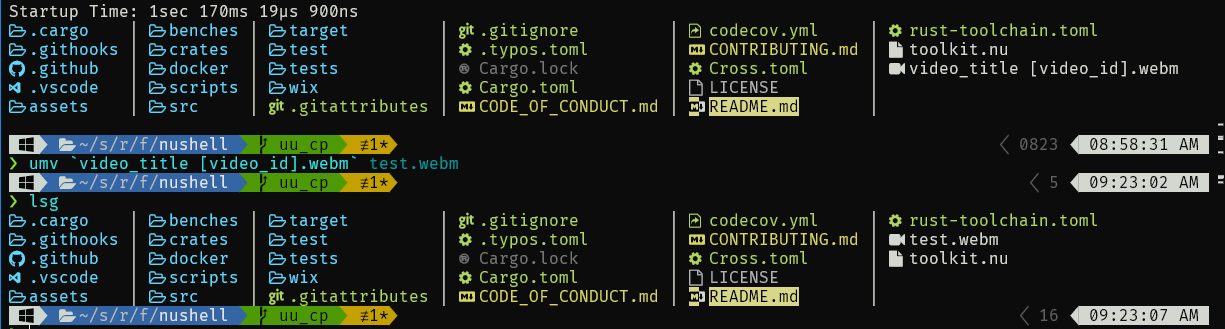 Provide a string that does not expand globs · Issue #9558 · nushell/nushell · GitHub