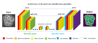How to train node classification using custom dataset · Issue #1661 · stellargraph/stellargraph ...