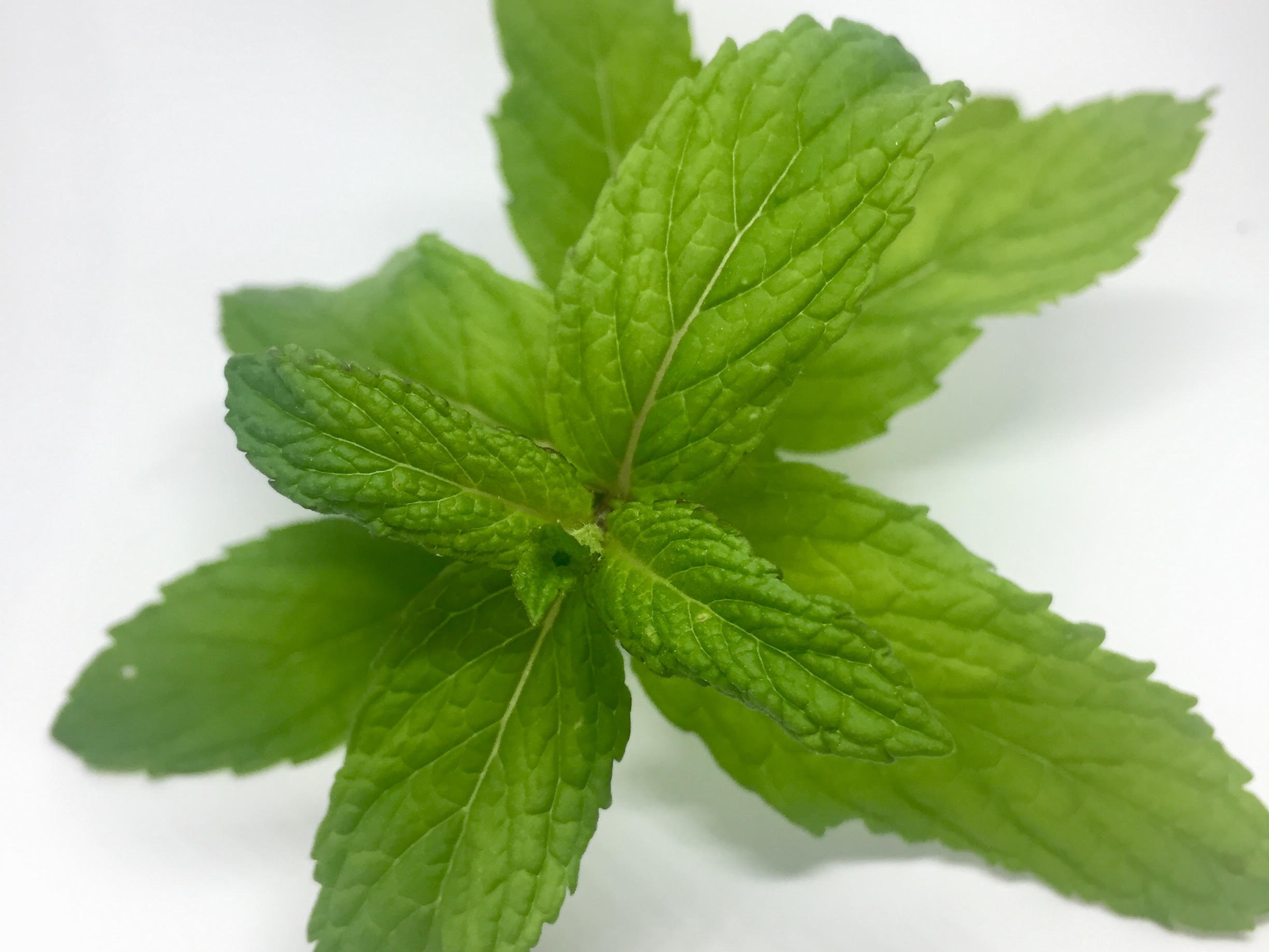 GitHub - DataScienceAdrian/images