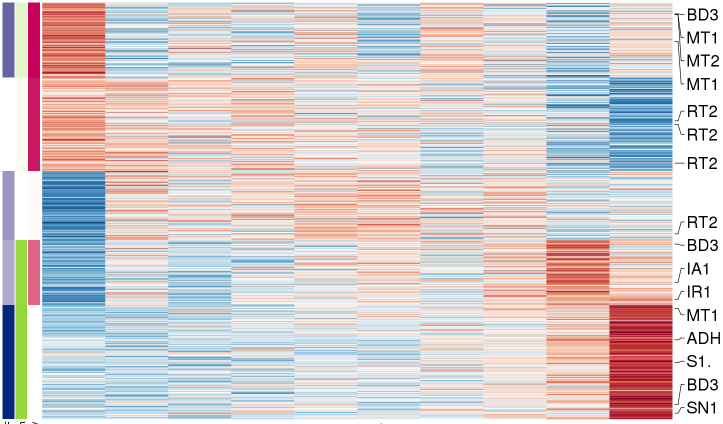 adding mark annotation · Issue #767 · jokergoo/ComplexHeatmap · GitHub