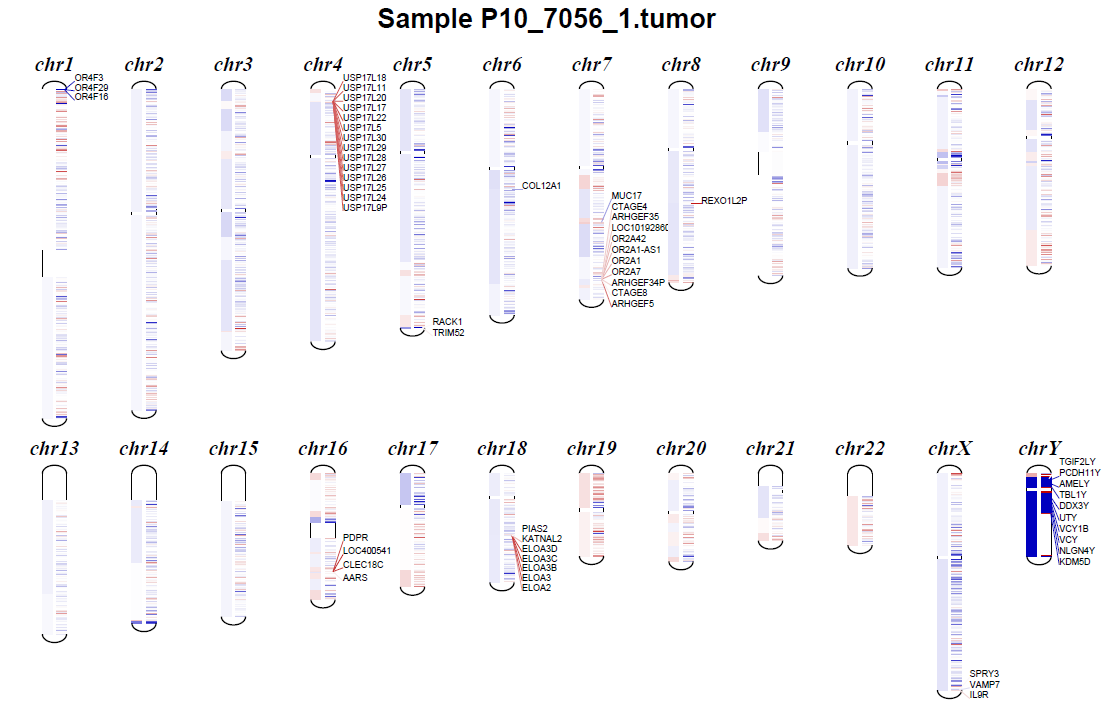 different result for diagram with and without cns file · Issue #387 · etal/cnvkit · GitHub