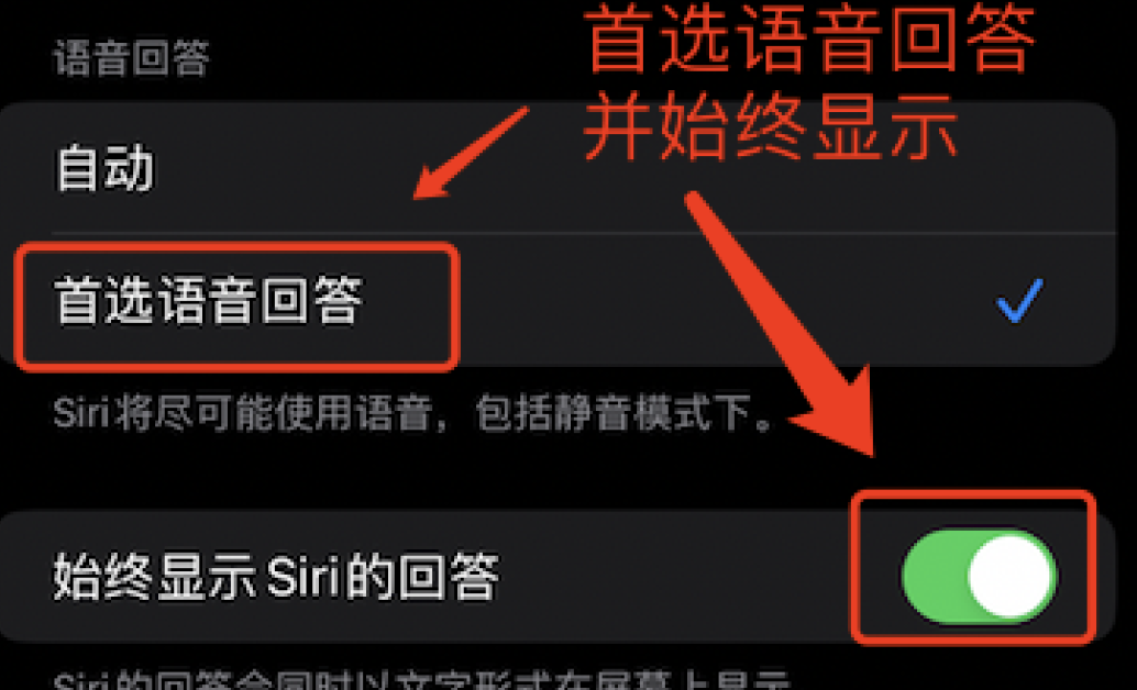 GitHub - Ononokierii/mesugaki-siri