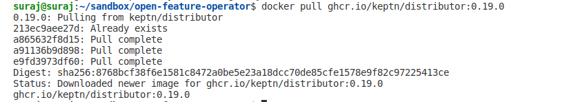 `ErrImagePull` and `ImagePullBackOff` for `ghcr.io/open-feature/open-feature-operator:v0.2.2 ...