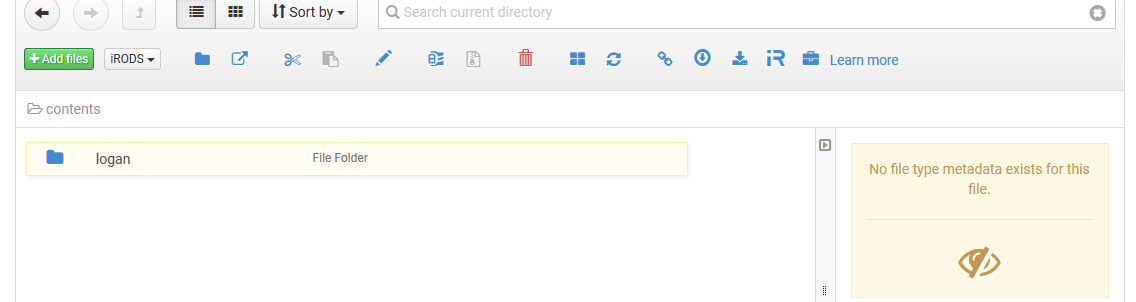 Creating a resource copying a file from iRODs results in an incomplete geographic raster ...
