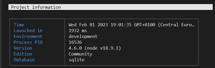 stapi connect to a DB, but doesn´t read anything · Issue #15668 · strapi/strapi · GitHub