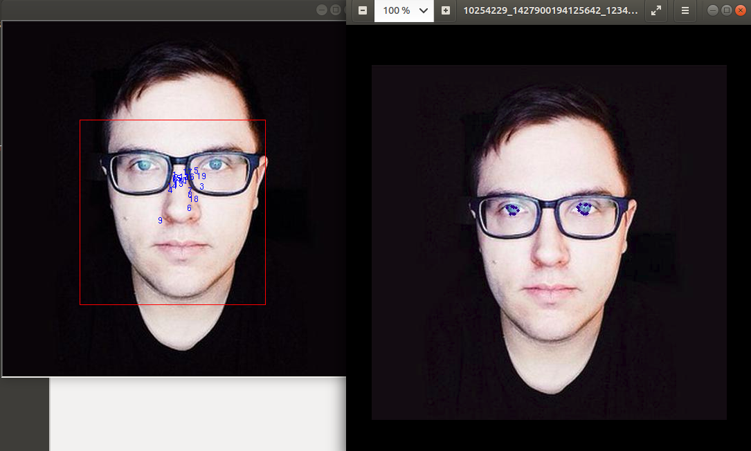 Training on custom dataset · Issue #1883 · davisking/dlib · GitHub