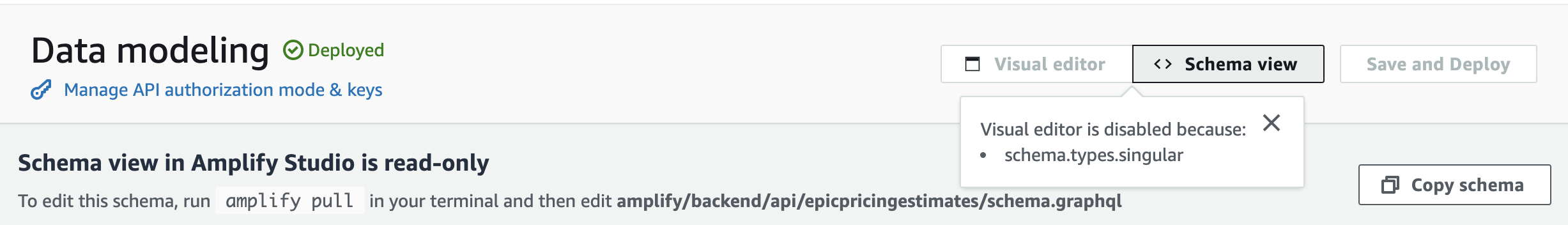 Visual editor is disabled because: schema.parameters.singular · Issue #513 · aws-amplify/amplify ...