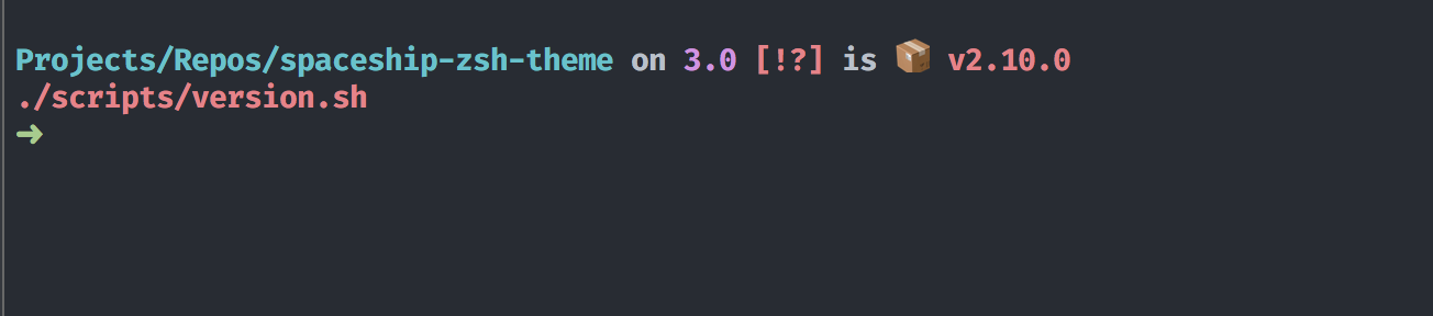 Package: scripts.version is shown as package version · Issue #221 · spaceship-prompt/spaceship ...