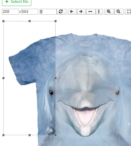 setting width and height to manual numbers · Issue #268 · Mawi137/ngx ...