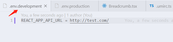 获取自定义变量 · Issue #4806 · umijs/umi · GitHub
