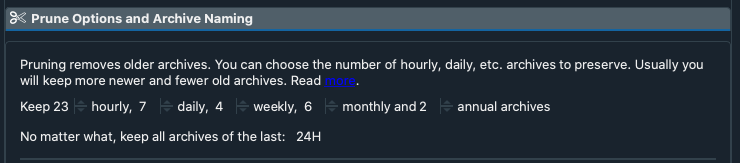 Pruning does not appear to work · Issue #486 · borgbase/vorta · GitHub