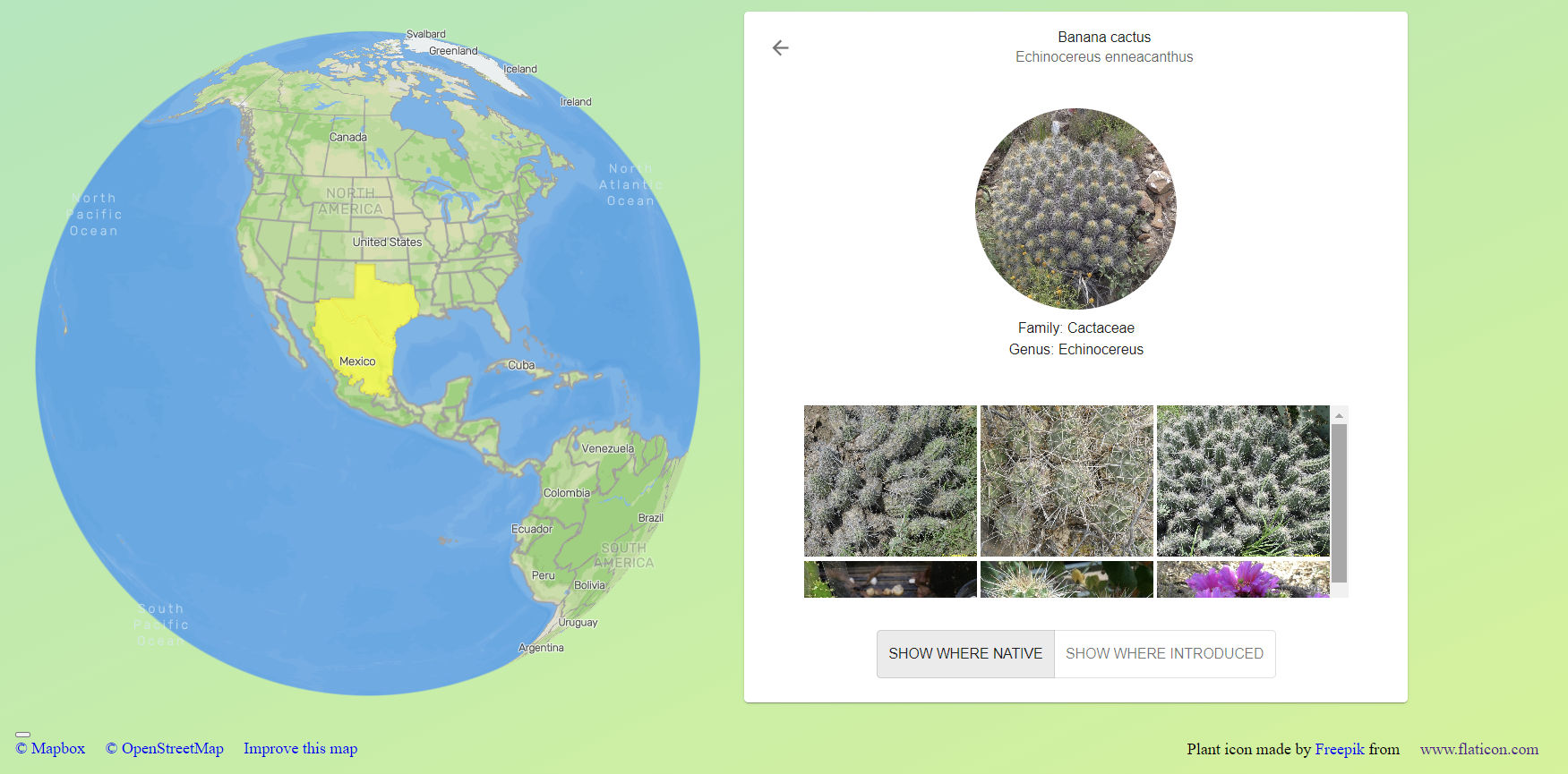GitHub - smackthat/plants-of-the-world: An interactive Earth with plant zones and information ...