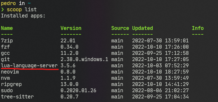 Scoop problem: Couldn't find manifest for 'lua-language-server' · Issue #1625 · LuaLS/lua ...