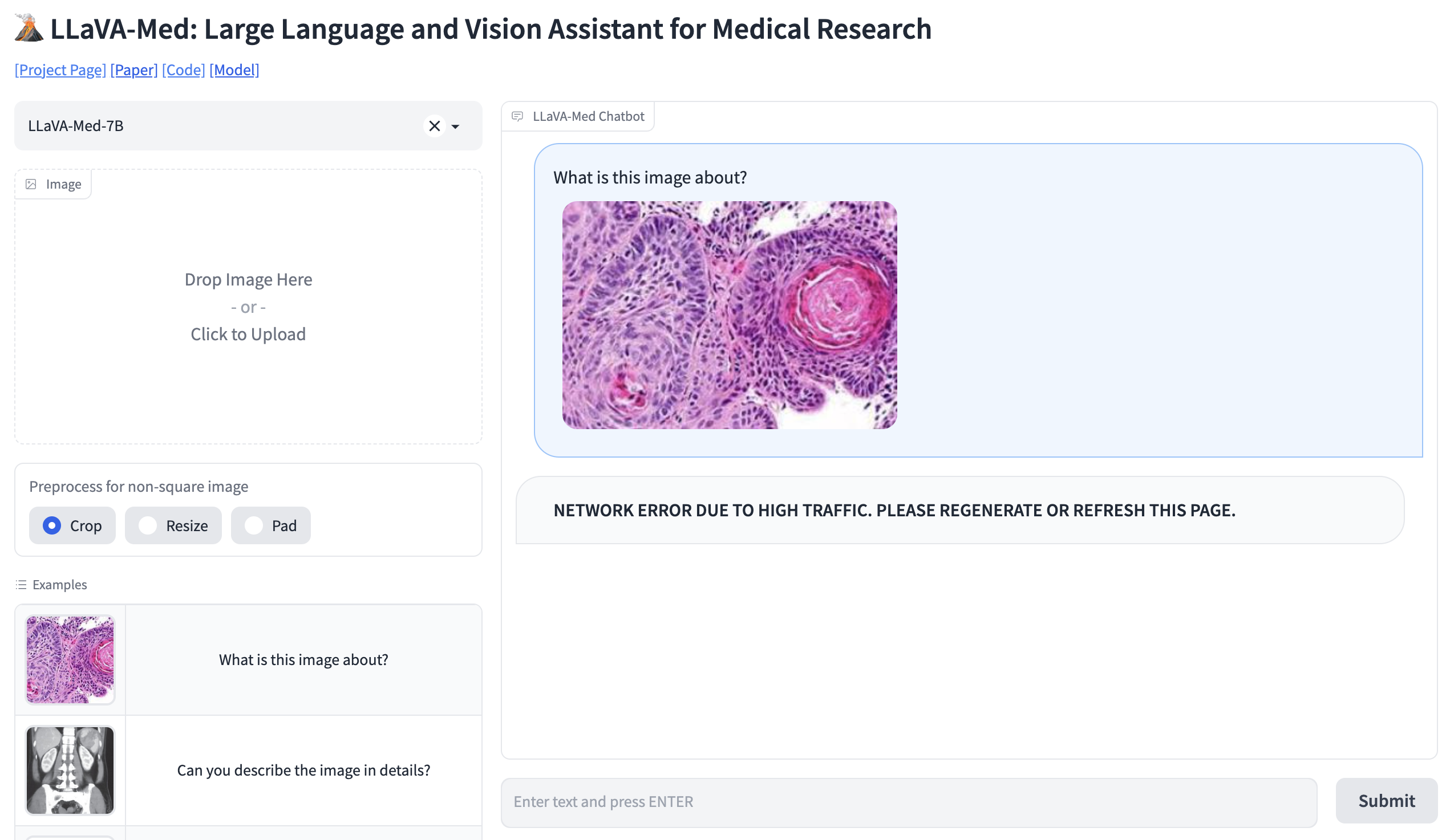 [Usage] Network error when inferencing on Google Colab A100 · Issue #17 · microsoft/LLaVA-Med ...