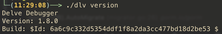 Corrupted stacktraces on darwin/arm64 during panic · Issue #2894 · go-delve/delve · GitHub