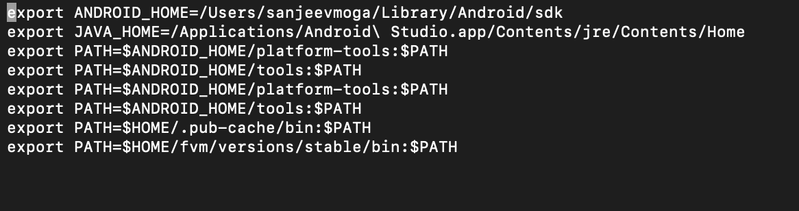 fix: `Failed to run serverpod. You need to have dart installed and in your $PATH` · Issue #249 ...