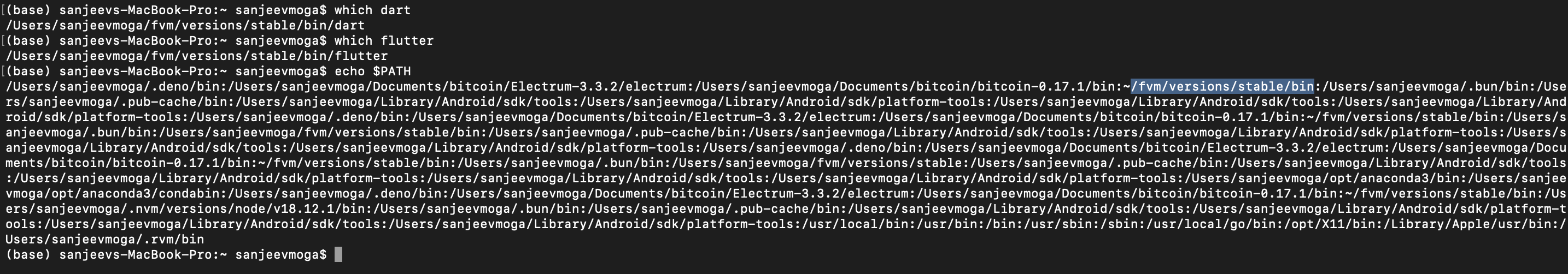 fix: `Failed to run serverpod. You need to have dart installed and in your $PATH` · Issue #249 ...
