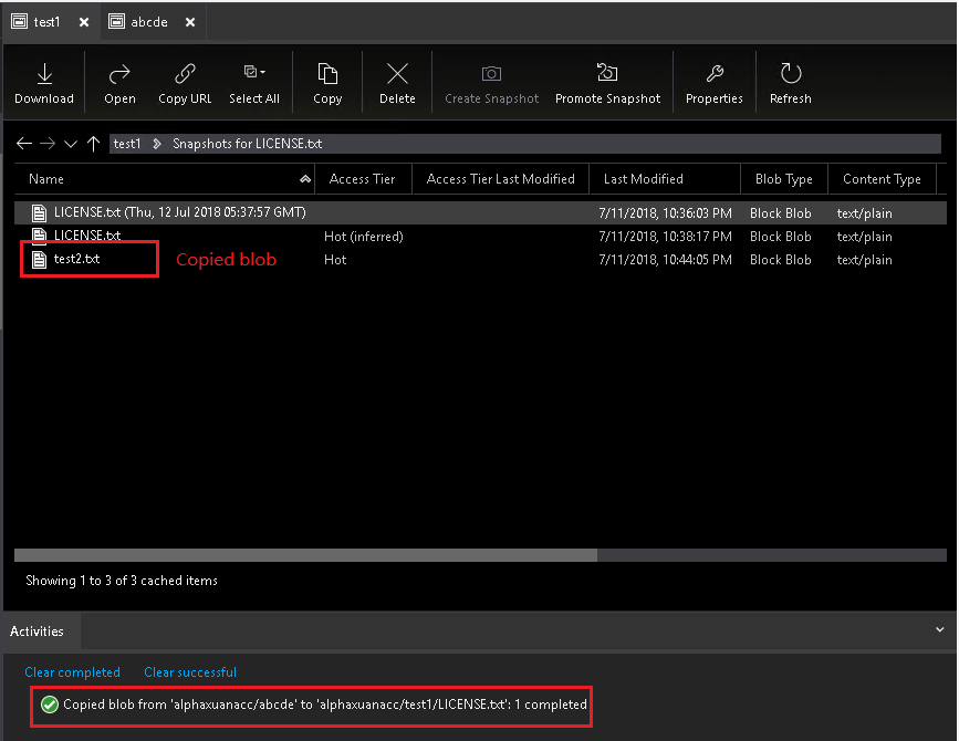 The shortcut of 'Ctrl+V' works well on blob snapshot editor · Issue #411 · microsoft ...