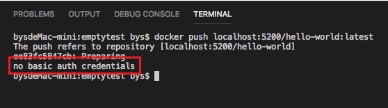 Fail to push images to private registry(127.0.0.1:5200) with an error 'no basic auth credential ...