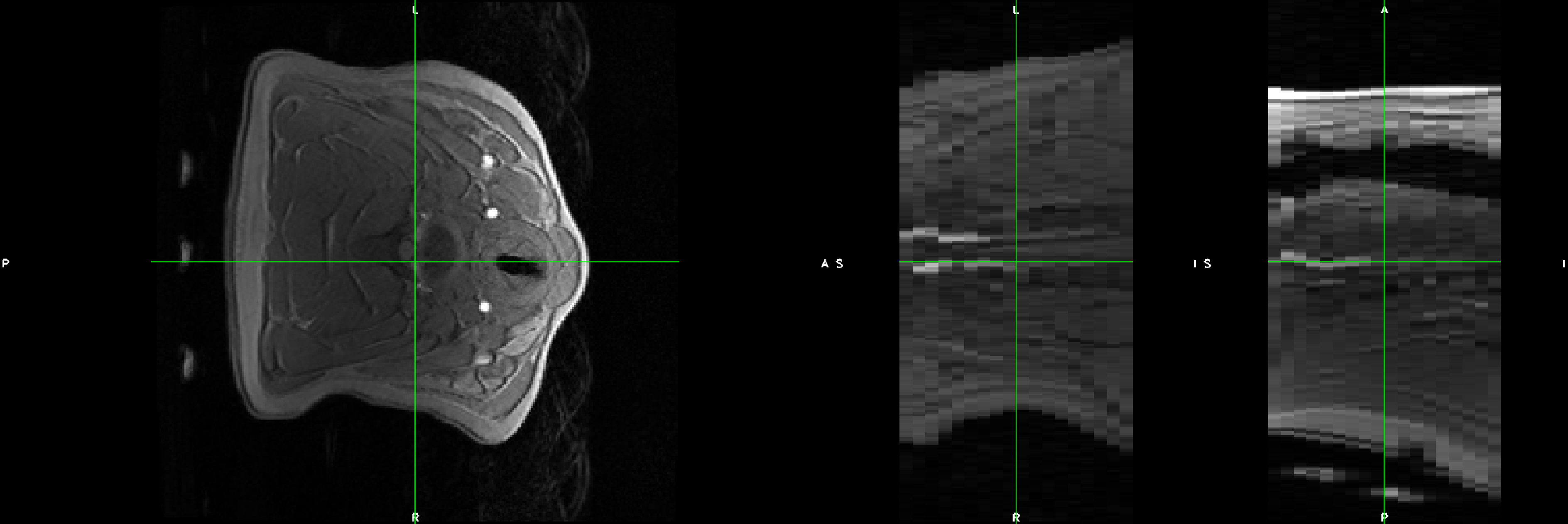sct_image -setorient and -setorient-data don't effectively change ...