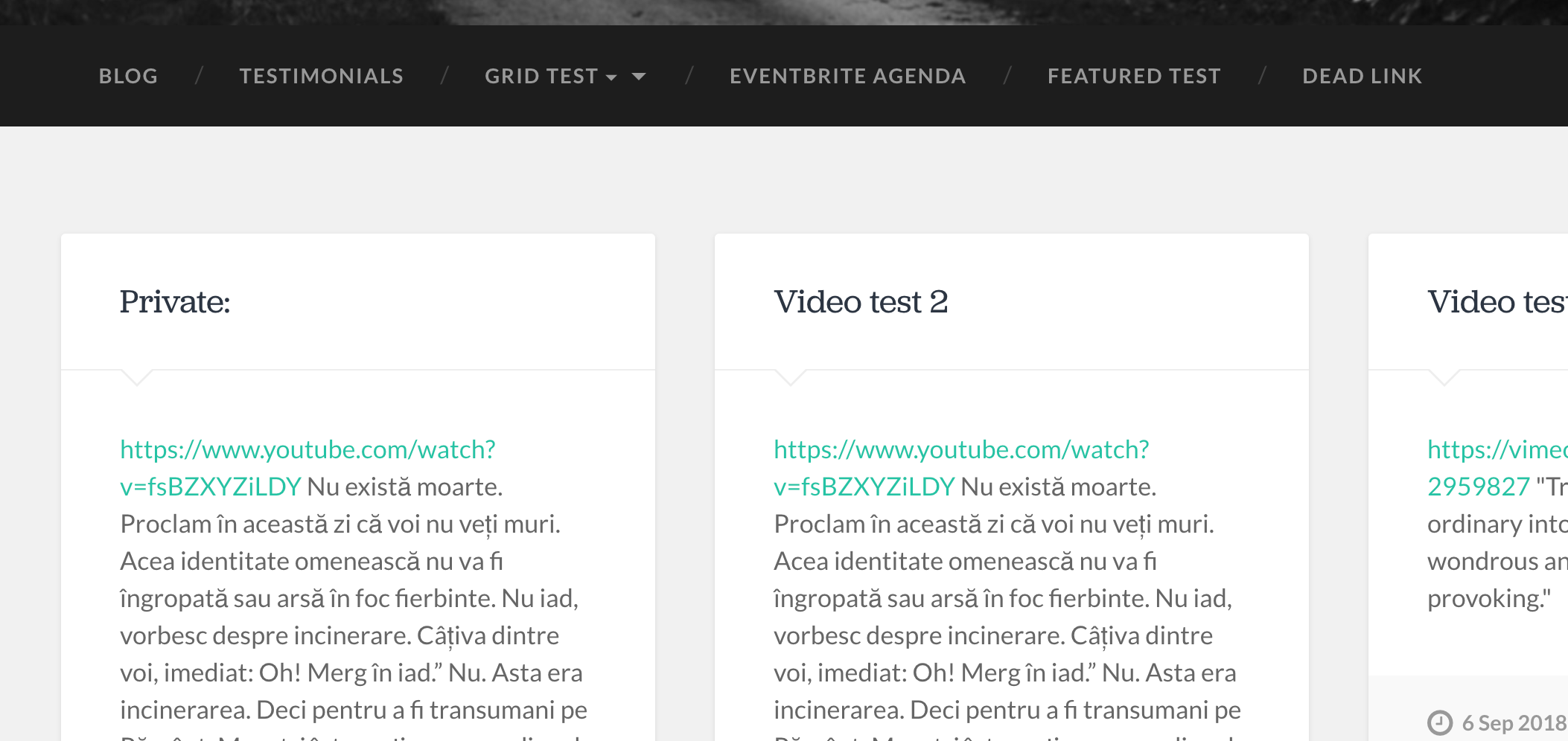 Baskerville 2: Videos missing on posts page if excerpts are enabled · Issue #254 · Automattic ...