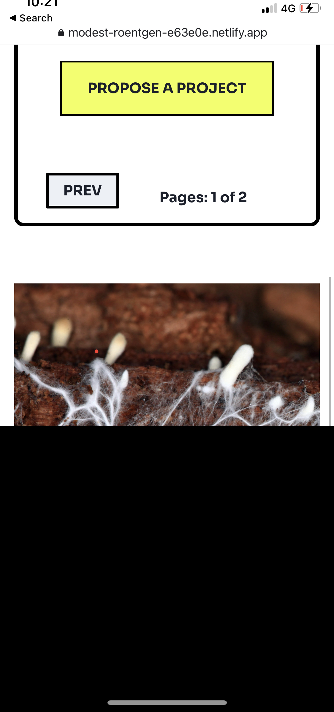 Testing At Different Screen Sizes · Issue 74 · Projectdrawdownresearch Platform · Github
