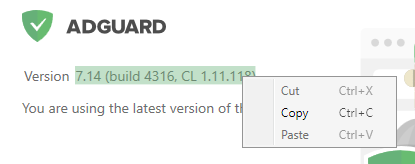 Add ability to copy app version in About in AdGuard Ad Blocker · Issue #4824 · AdguardTeam ...