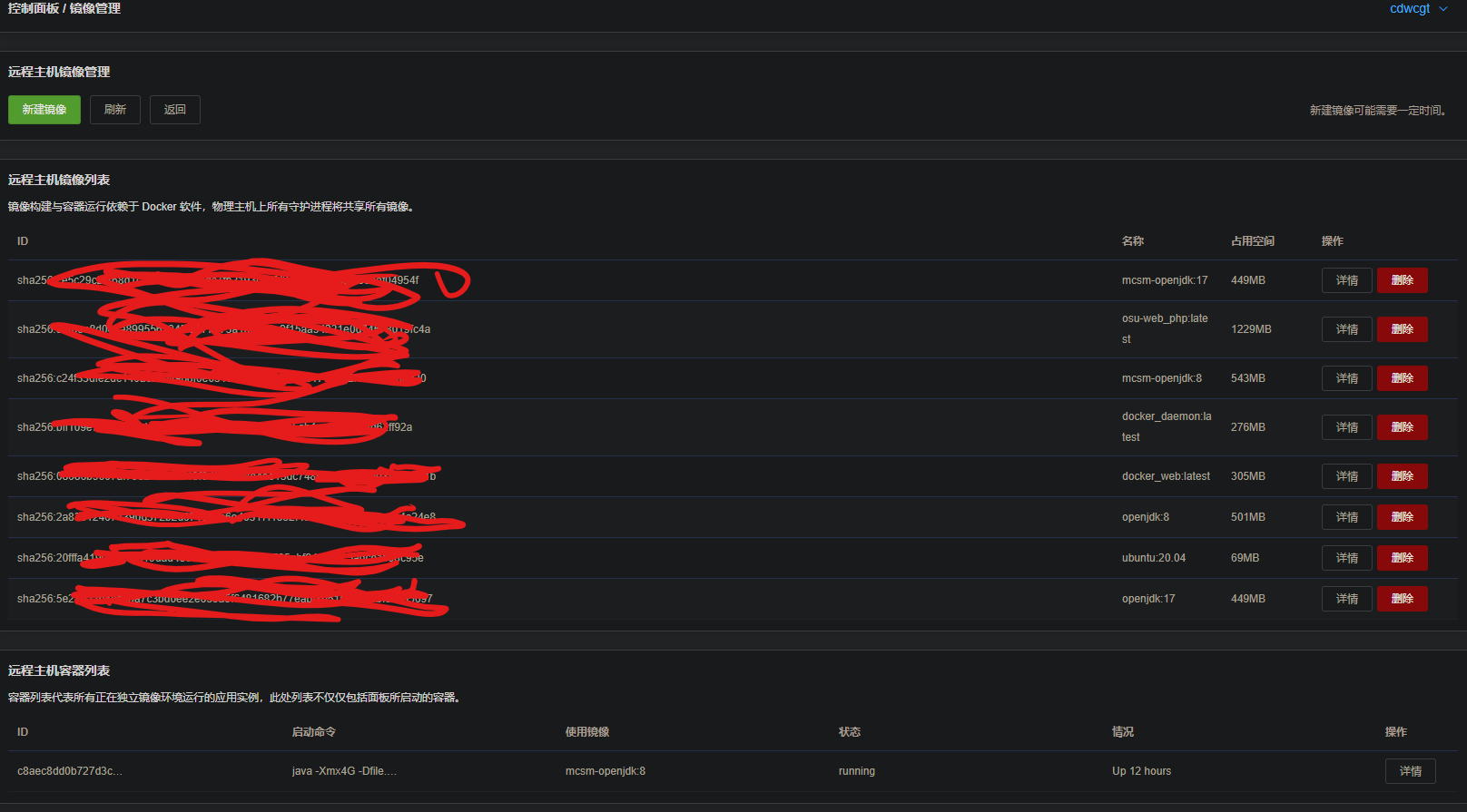 【docker】实例启动成功立刻被关闭 · Issue #574 · MCSManager/MCSManager · GitHub