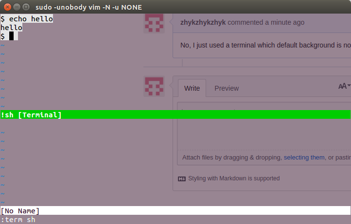 Terminal Background Not Correctly Handled In Terminal Emulator Inside Vim · Issue 2075 · Vim